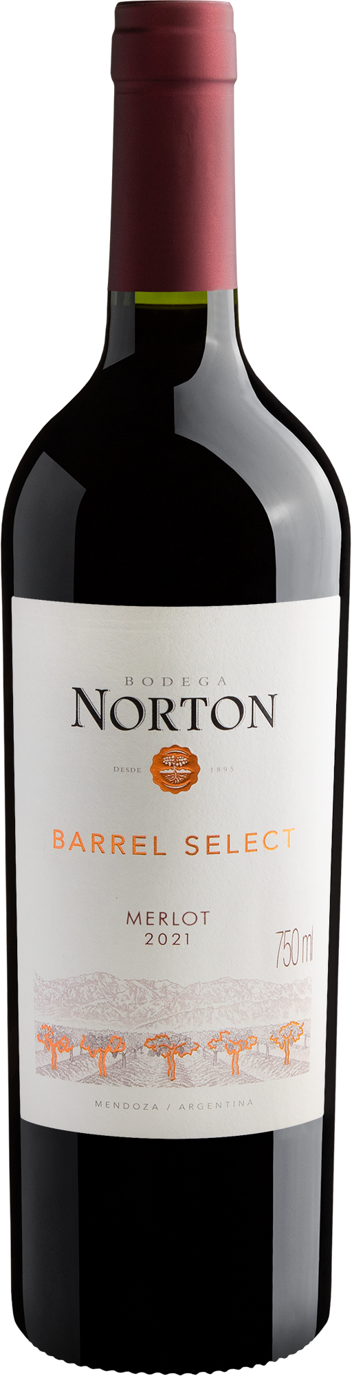 Vinho Merlot: confira o guia da uva Merlot! | Evino